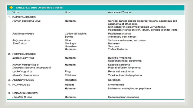 Pathogenesis of cancer | PPTX | Cancer | Diseases and Conditions