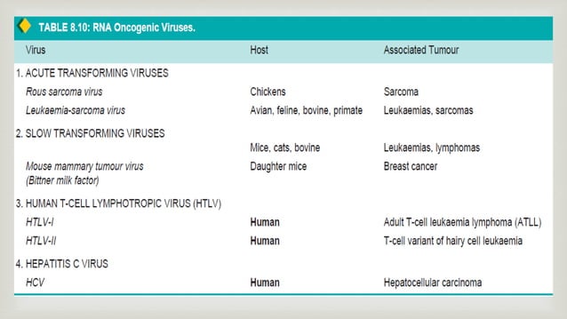 Pathogenesis of cancer | PPTX | Cancer | Diseases and Conditions