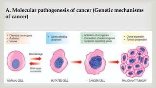 Pathogenesis of cancer | PPTX