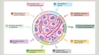 Pathogenesis of cancer | PPTX