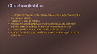 Pathogenesis of candida | PPTX