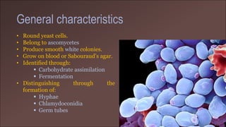 Pathogenesis of candida | PPTX | Chemistry | Science