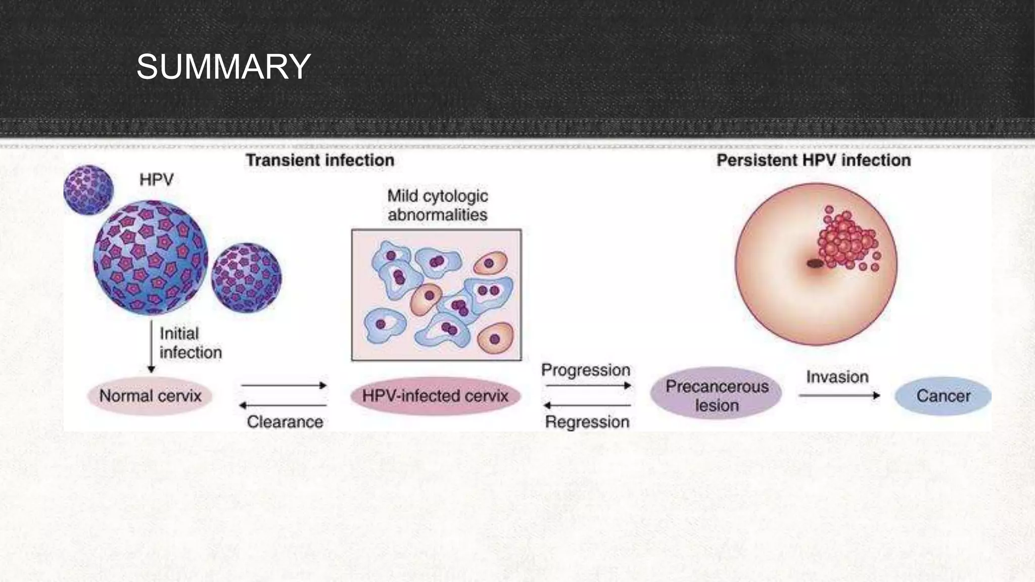 Pathogenesis of carcinoma cervix | PPT