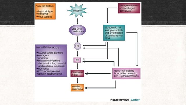 Pathogenesis of carcinoma cervix | PPT