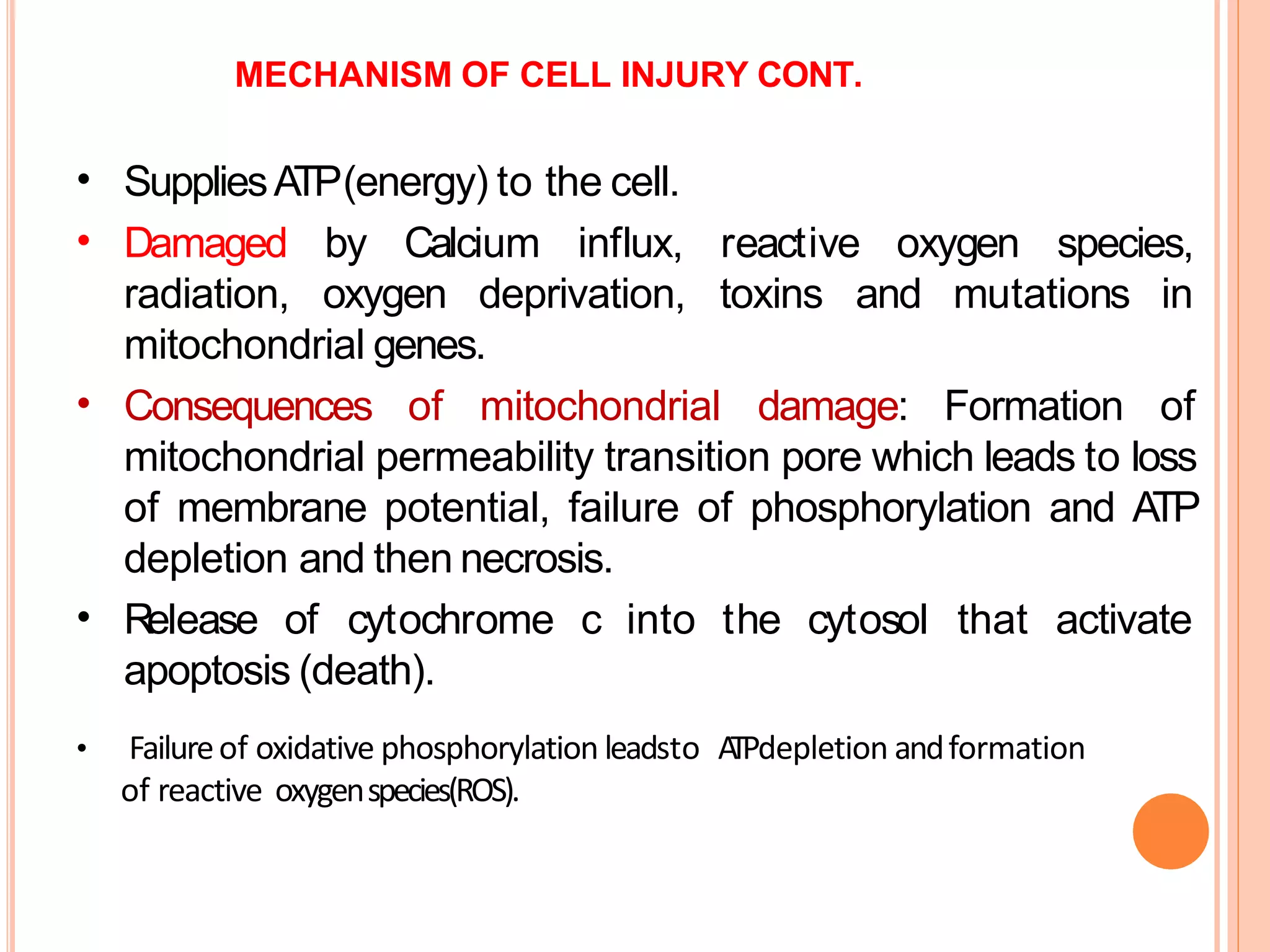 Pathogenesis of cell injury | PPTX