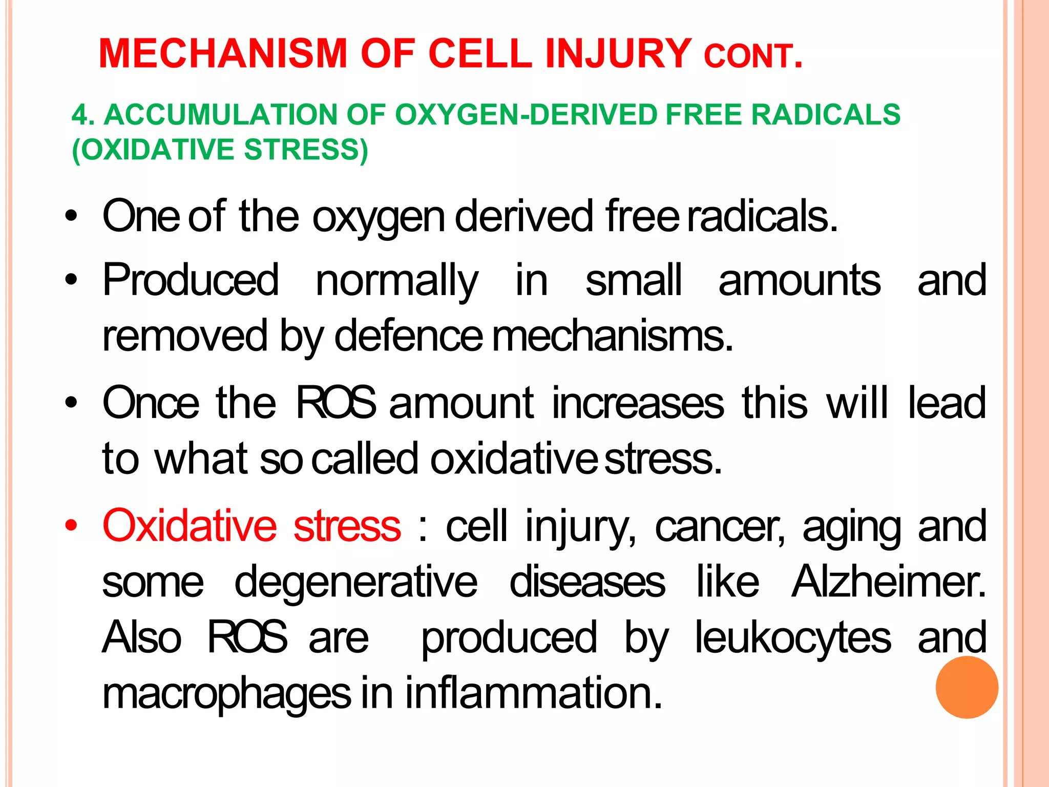 Pathogenesis of cell injury | PPTX