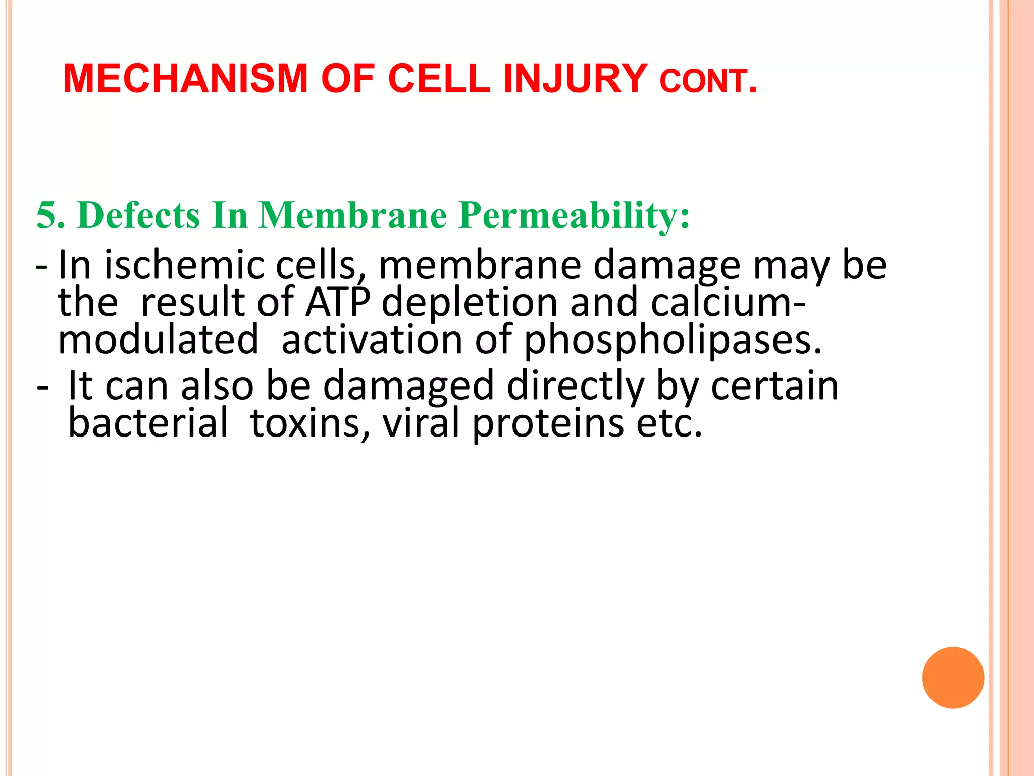 Pathogenesis of cell injury | PPTX