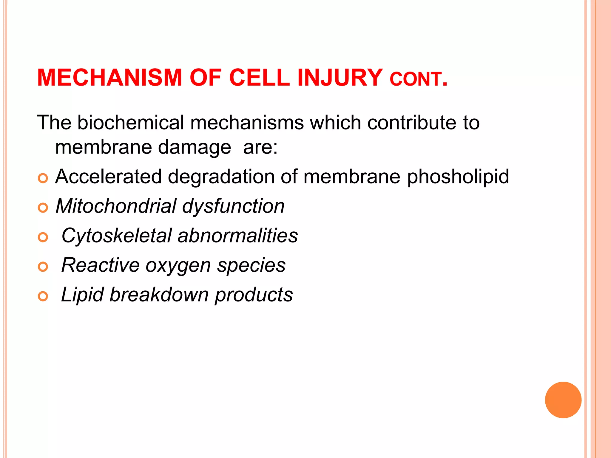Pathogenesis of cell injury | PPTX