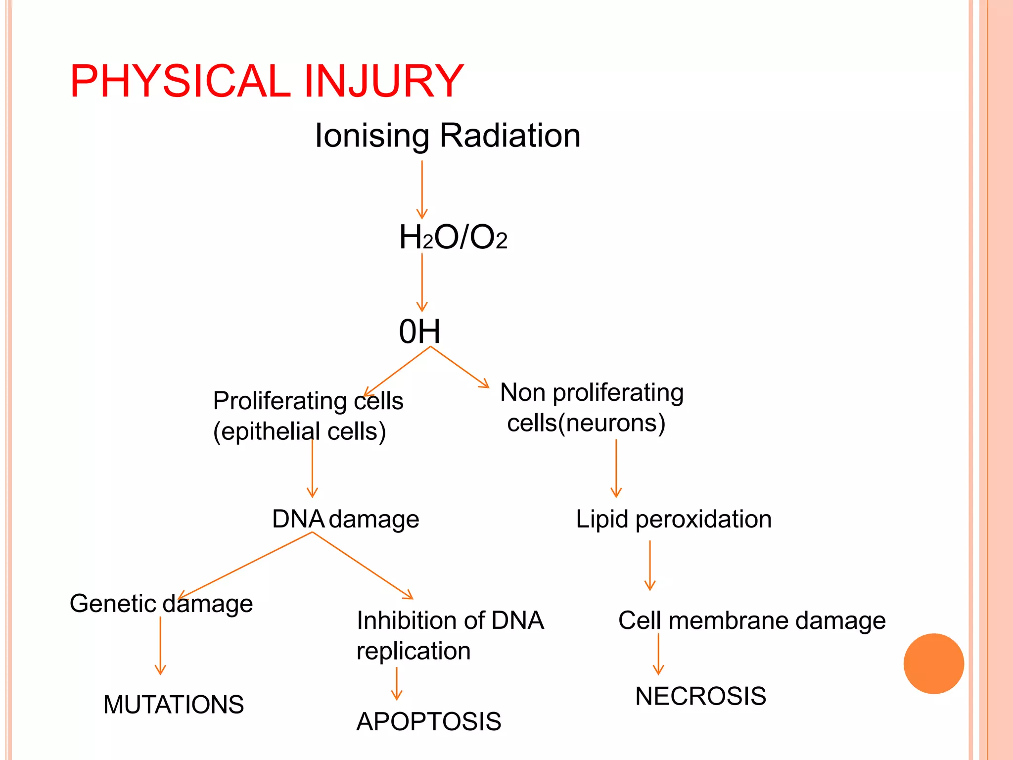 Pathogenesis of cell injury | PPTX
