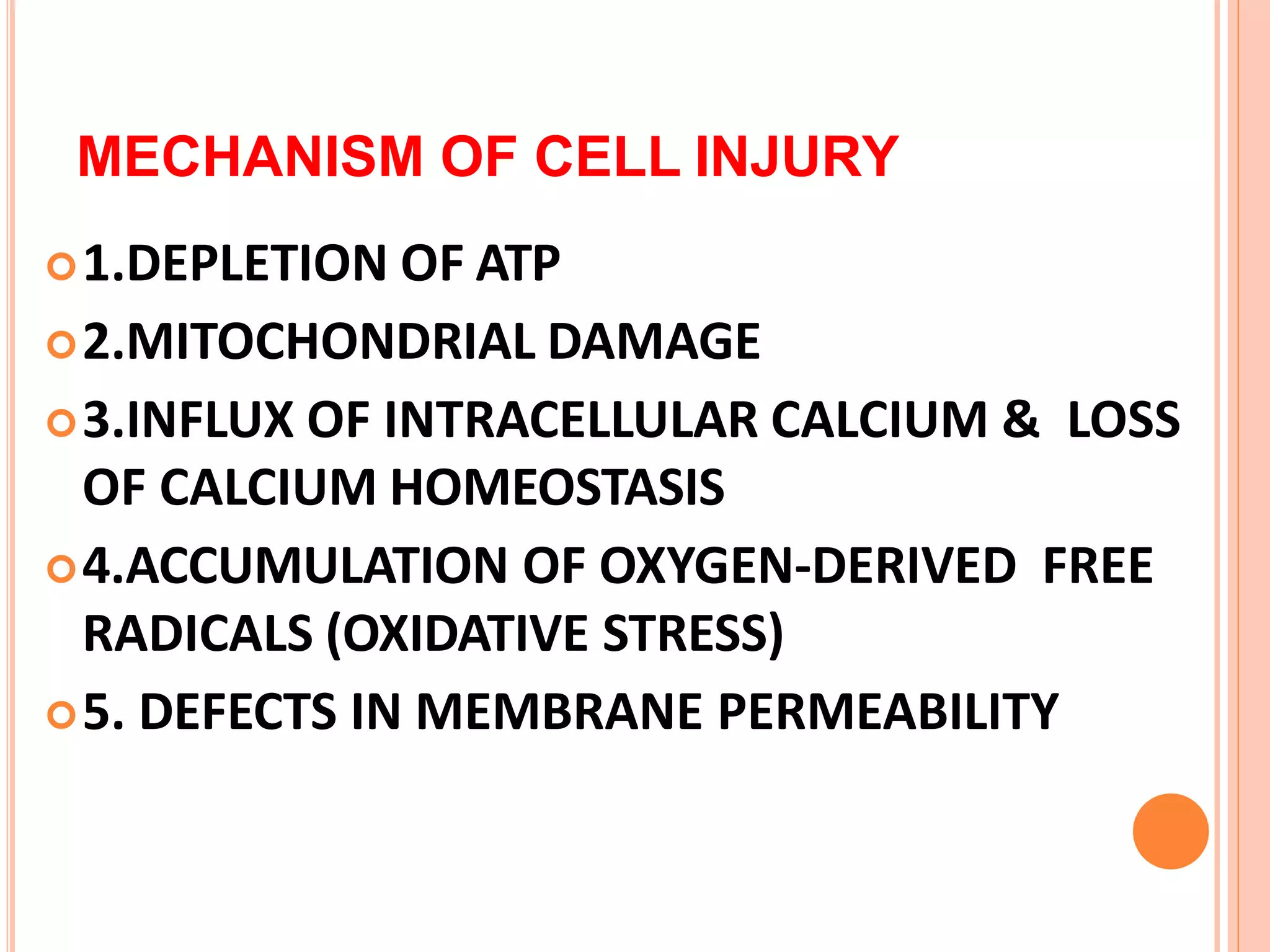 Pathogenesis of cell injury | PPTX
