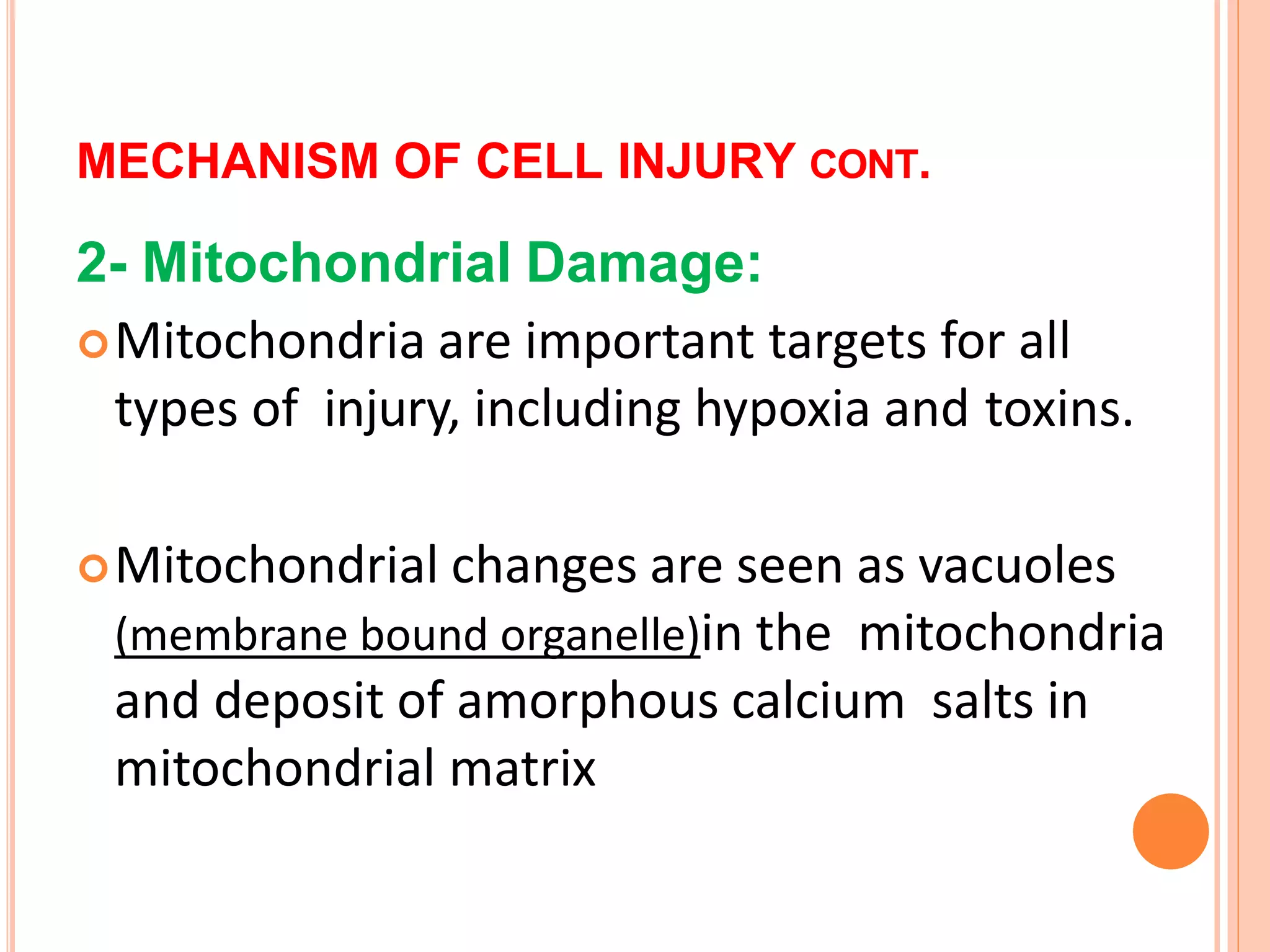Pathogenesis of cell injury | PPTX