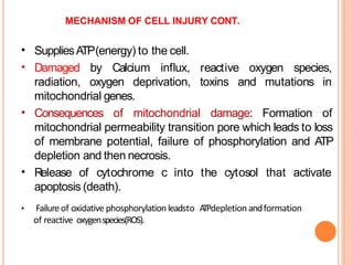 Pathogenesis of cell injury | PPTX