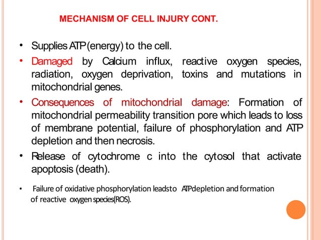 Pathogenesis of cell injury | PPTX