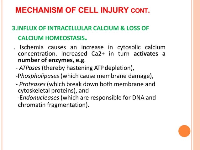 Pathogenesis of cell injury | PPTX