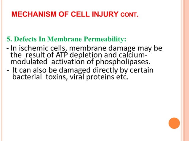 Pathogenesis of cell injury | PPTX