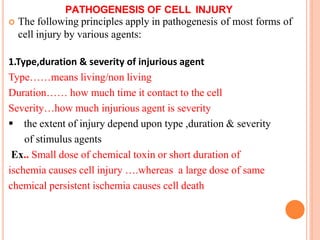 Pathogenesis of cell injury | PPTX