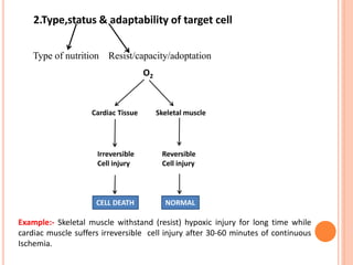 Pathogenesis of cell injury | PPTX