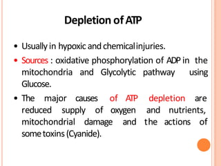 Pathogenesis of cell injury | PPTX