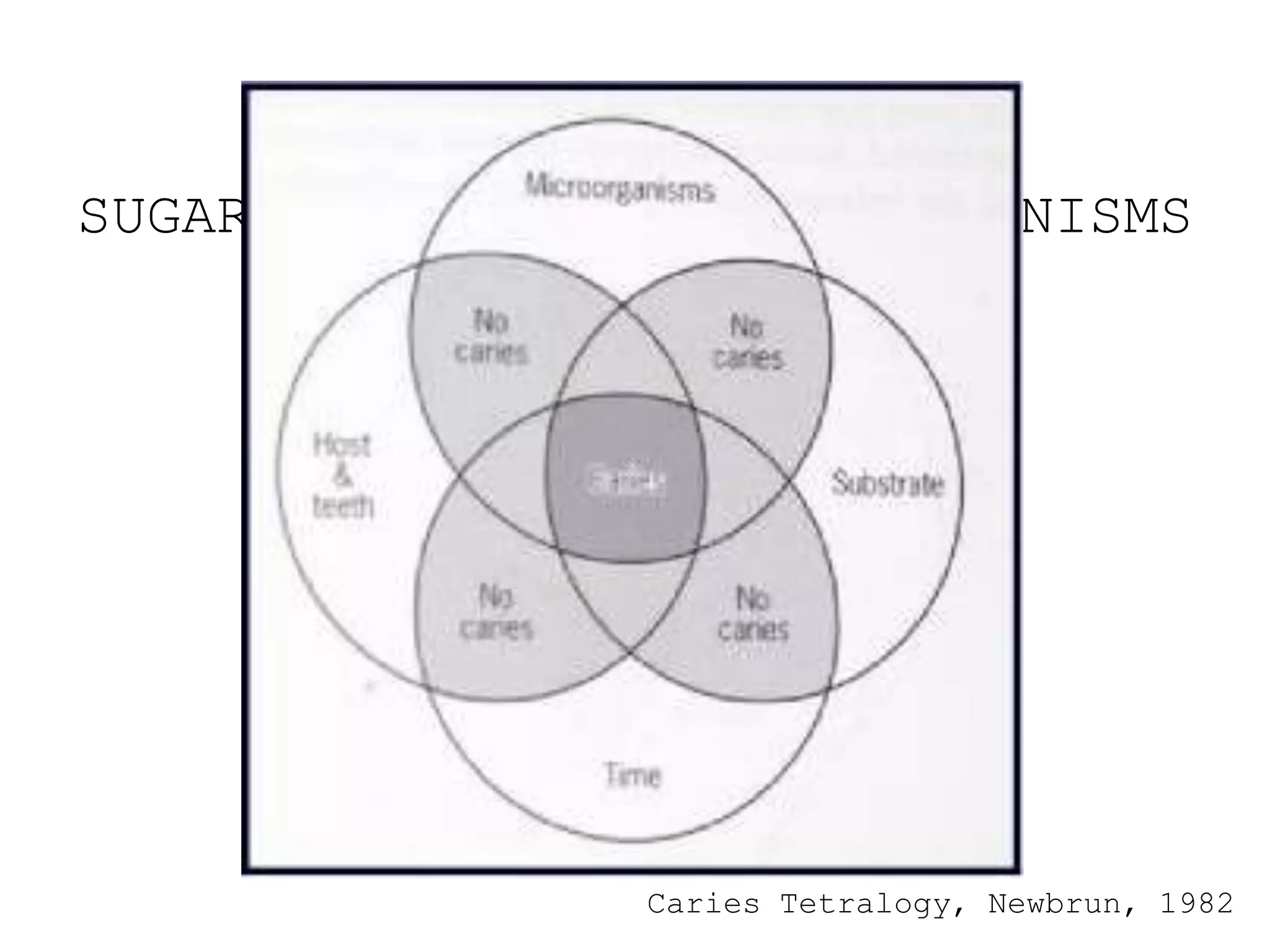 Pathogenesis of dental caries | PPSX