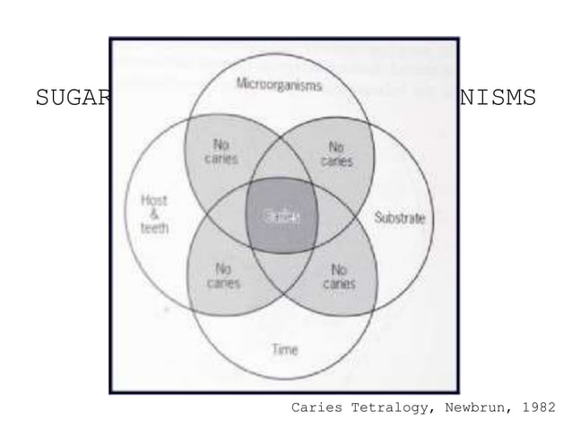 Pathogenesis of dental caries | PPSX | Dental Health | Diseases and ...