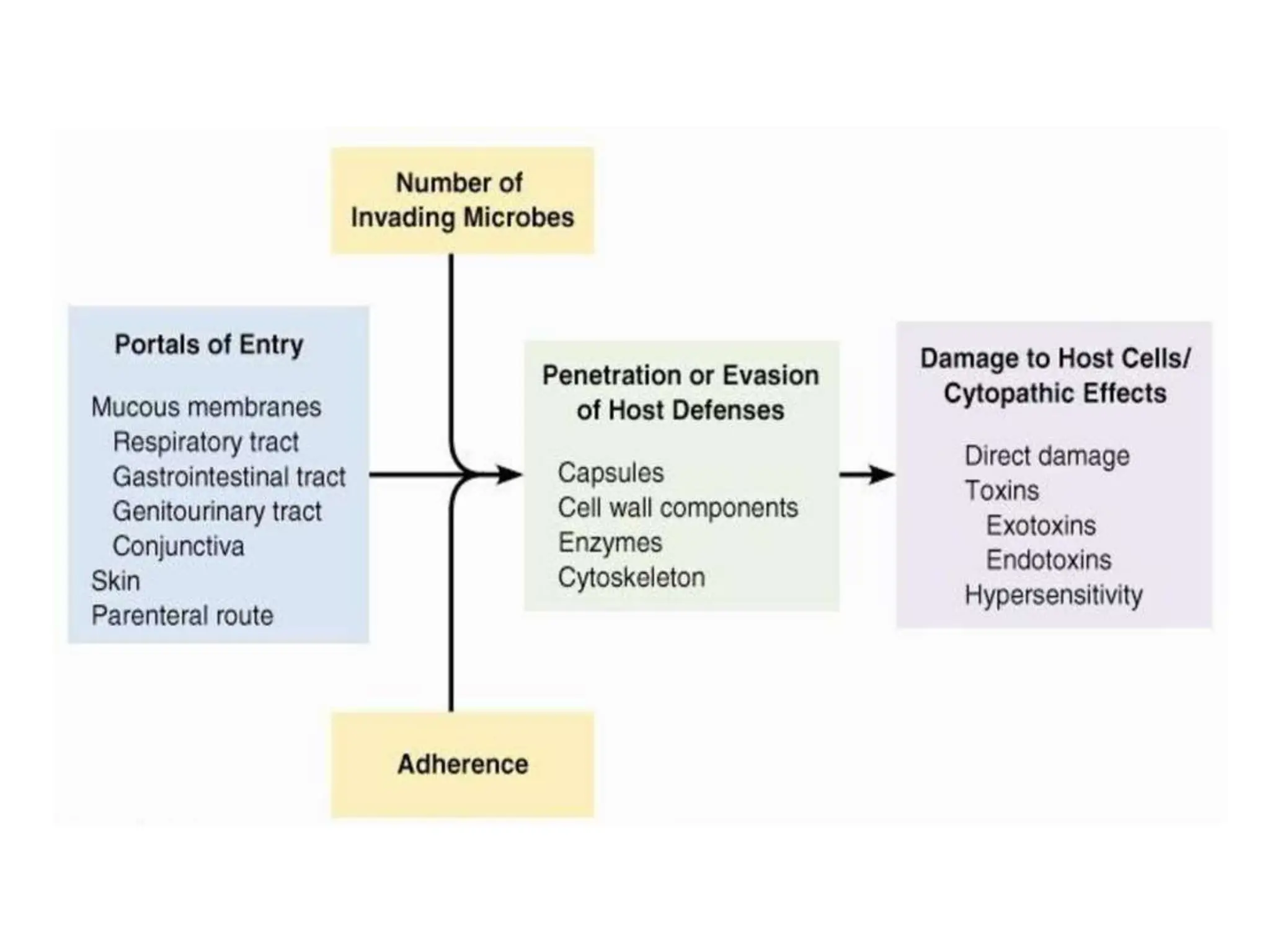 pathogenesis of disease common diseases and its progress | PPTX