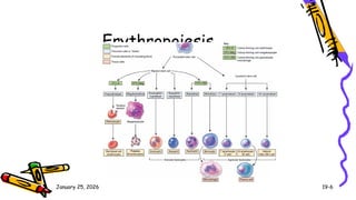 Pathogenesis of diseases of major systems.pptx