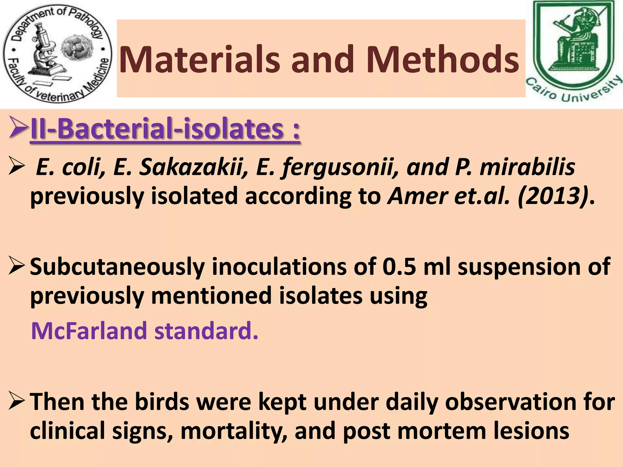 Pathogenesis of enterobacteriaceae isolated from commercial chicken ...
