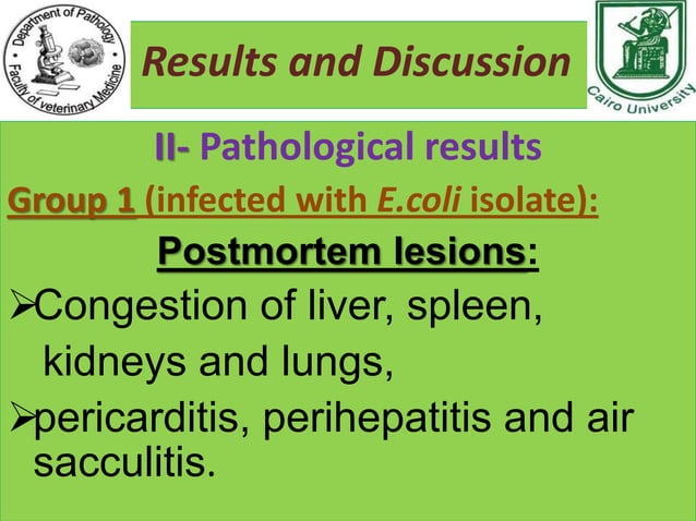 Pathogenesis of enterobacteriaceae isolated from commercial chicken ...