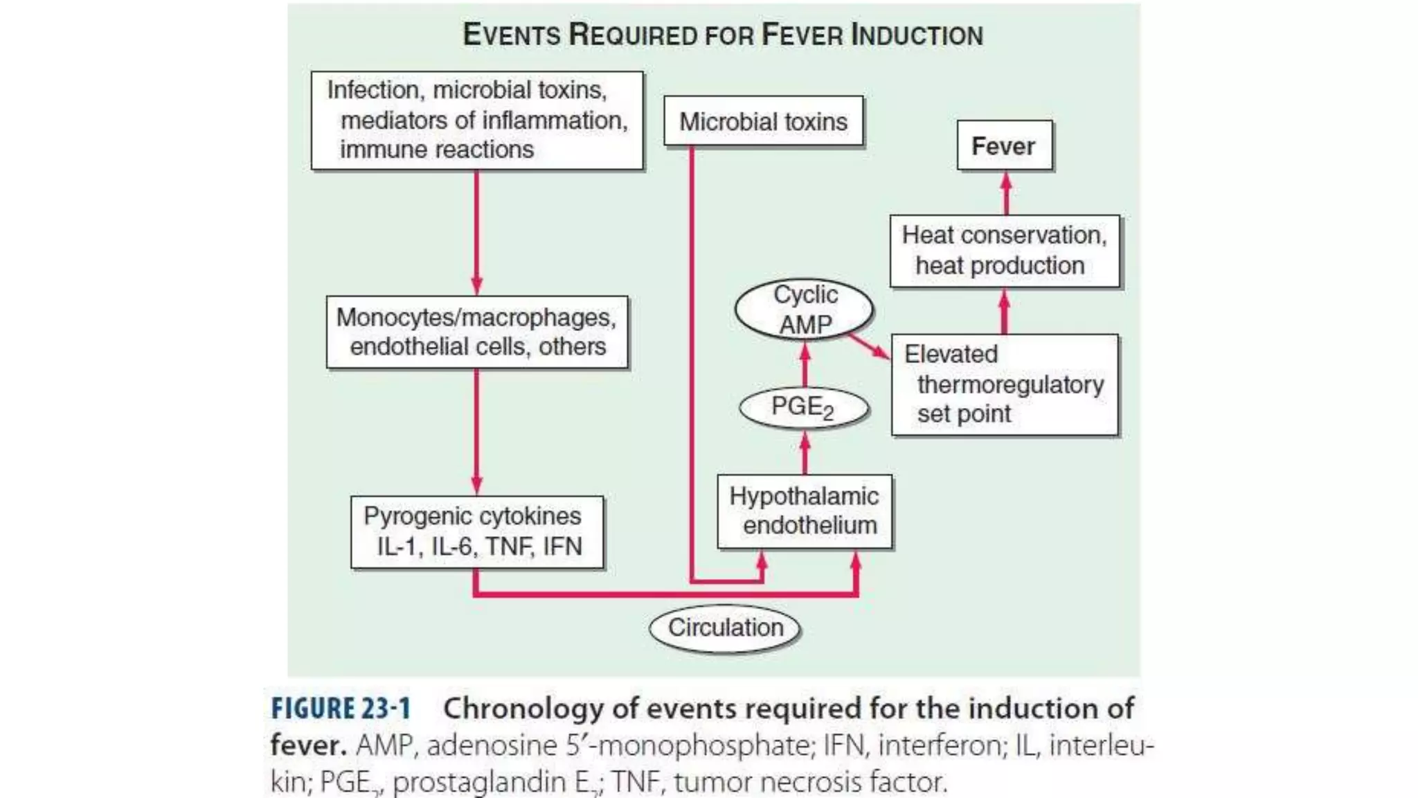 Pathogenesis of fever | PPTX