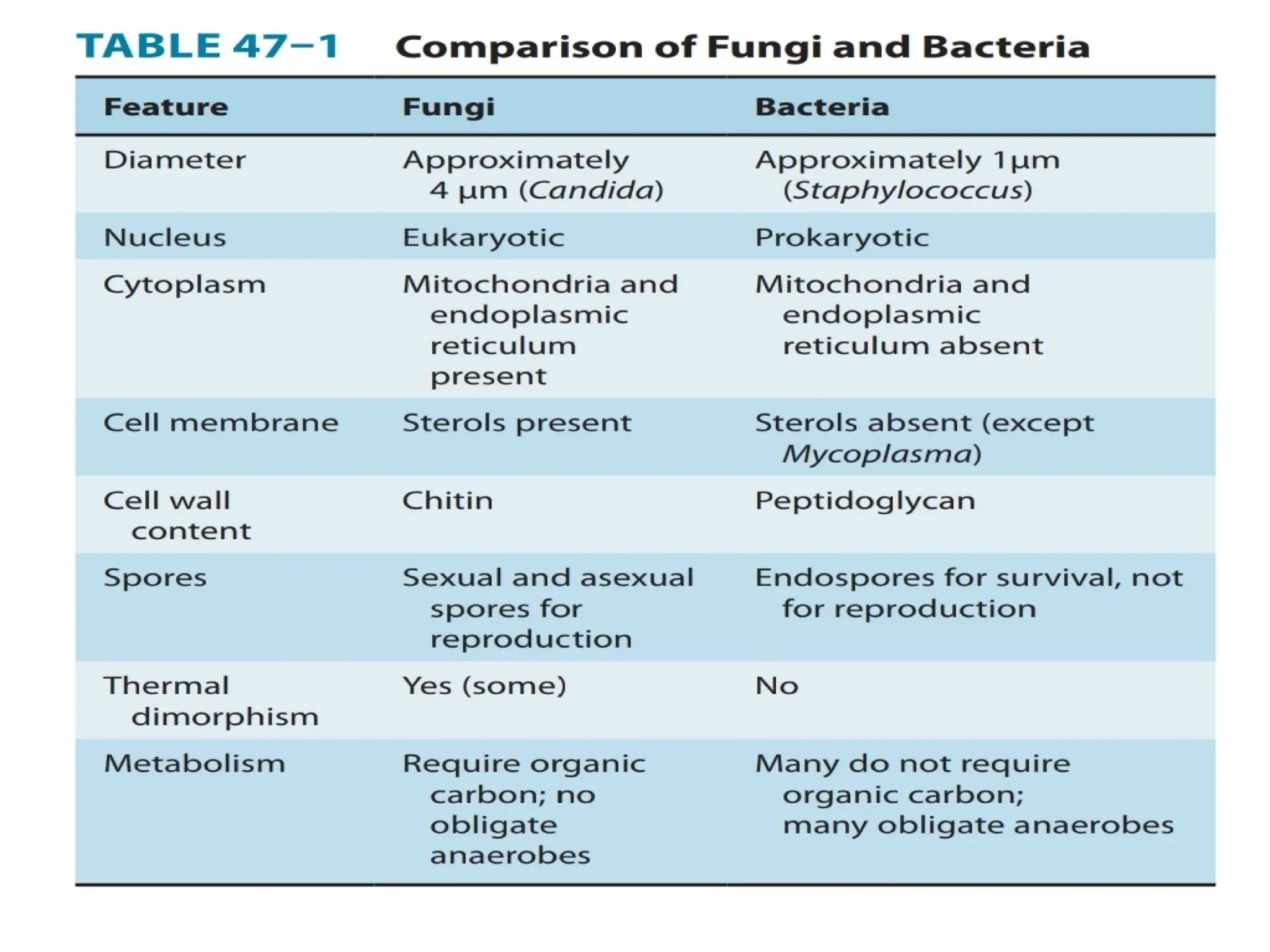 THE PATHOGENESIS OF FUNGAL INFECTIONS.pptx