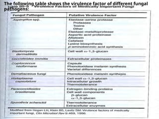THE PATHOGENESIS OF FUNGAL INFECTIONS.pptx