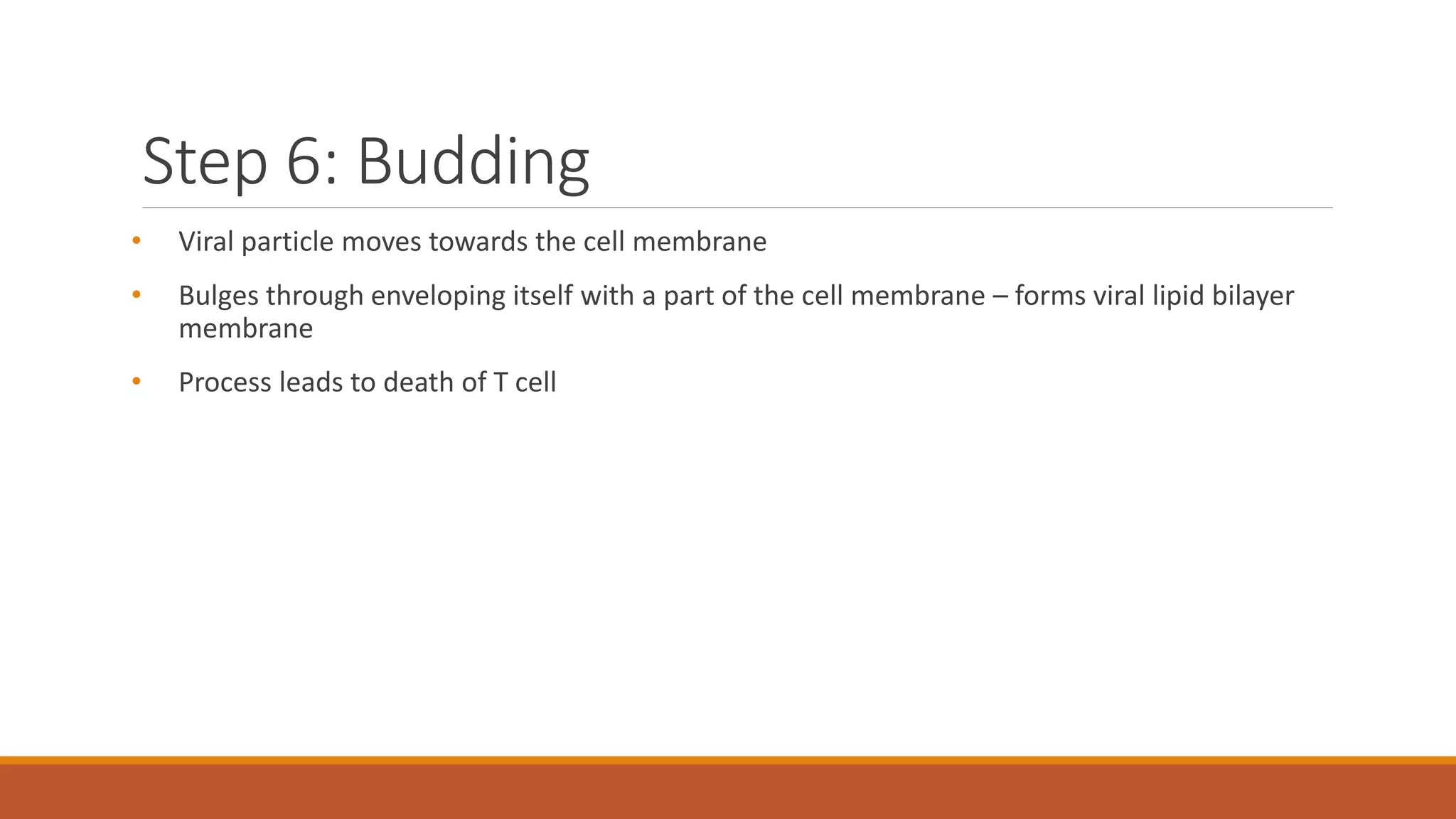 Pathogenesis of HIV | PPTX | Infectious Diseases | Diseases and Conditions
