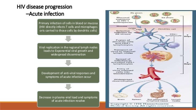 Pathogenesis of HIV