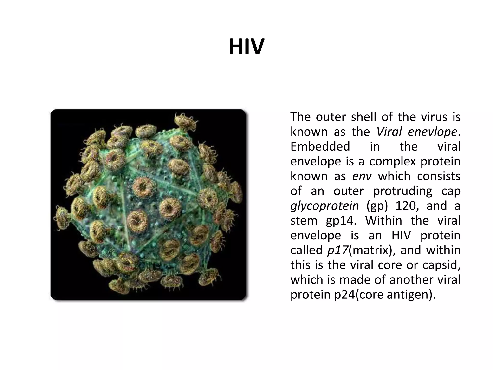 PATHOGENESIS OF HIV.pptx