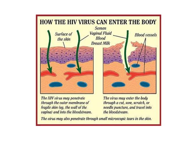 PATHOGENESIS OF HIV.pptx