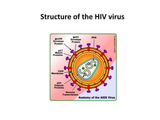 PATHOGENESIS OF HIV.pptx