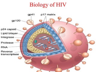 HIV INFECTION/AIDS - introduction, types | PDF