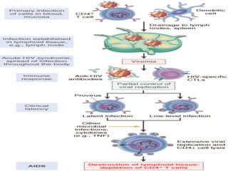 HIV INFECTION/AIDS - introduction, types | PDF