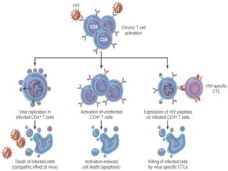 HIV INFECTION/AIDS - introduction, types | PDF