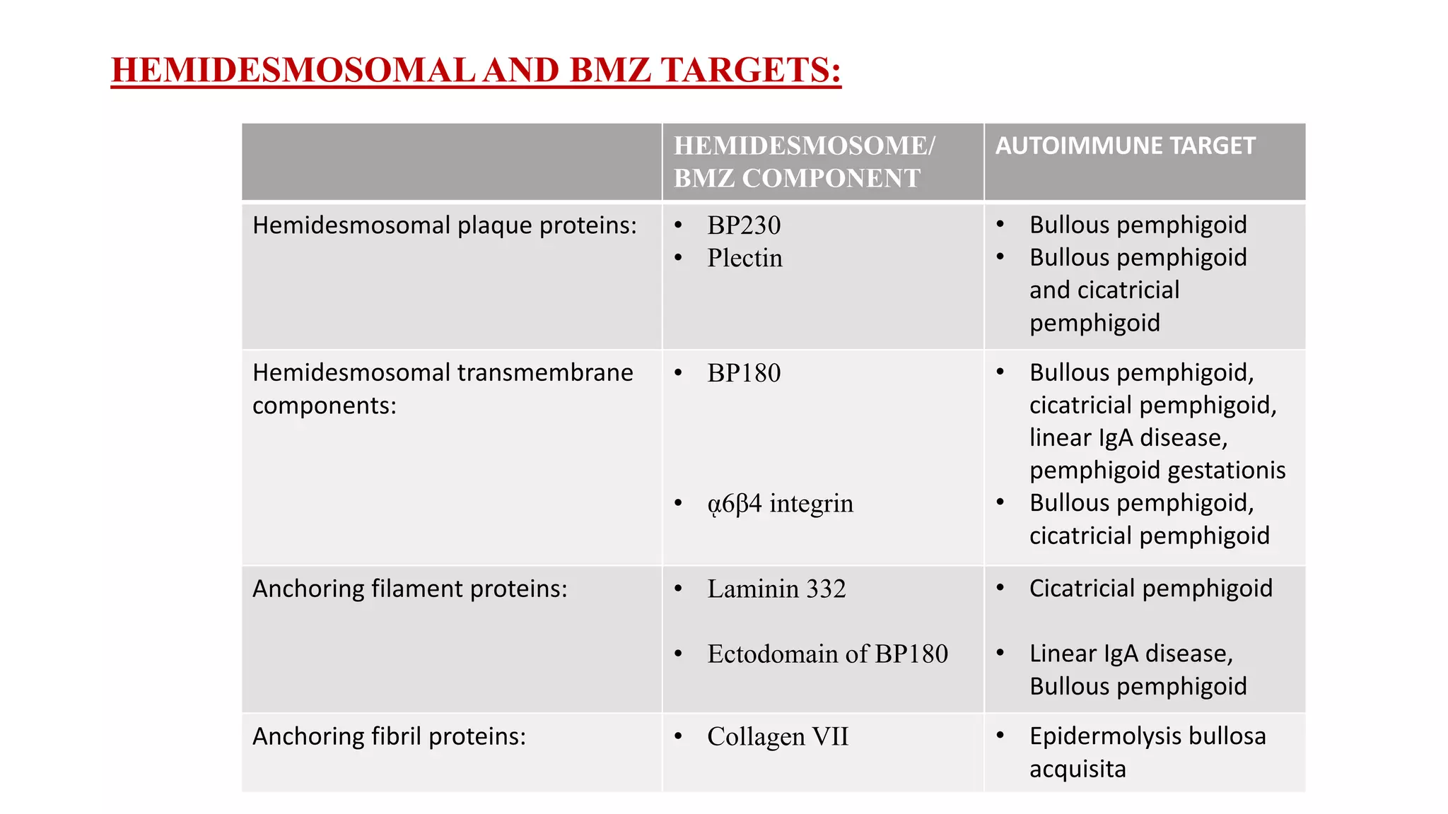 PATHOGENESIS OF IMMUNOBULLOUS DISORDERS AND UPDATES copy.pptx