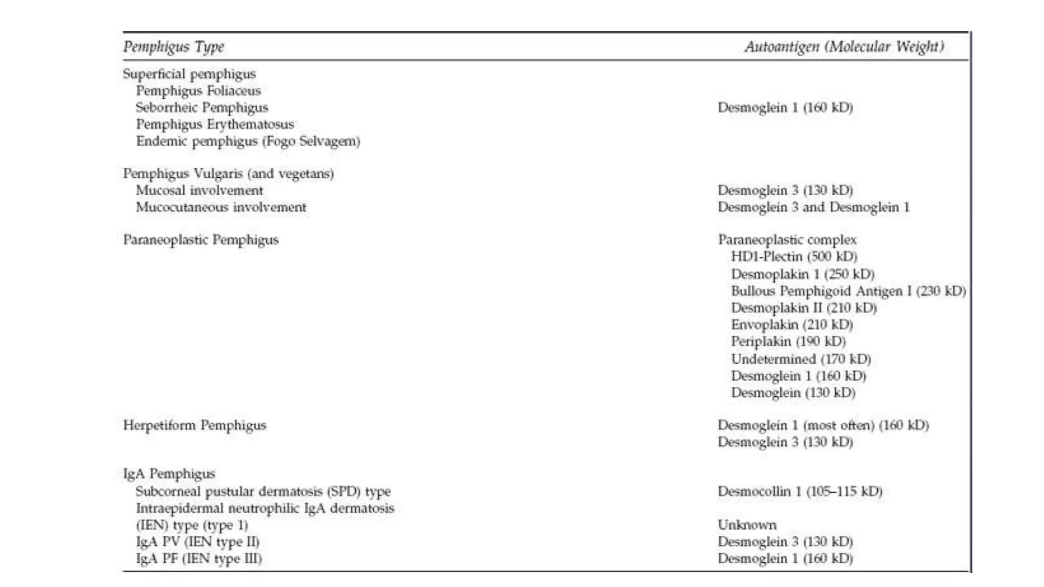 PATHOGENESIS OF IMMUNOBULLOUS DISORDERS AND UPDATES copy.pptx