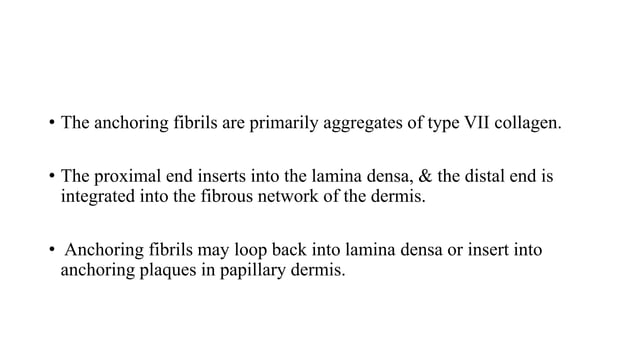 PATHOGENESIS OF IMMUNOBULLOUS DISORDERS AND UPDATES copy.pptx | Skin ...