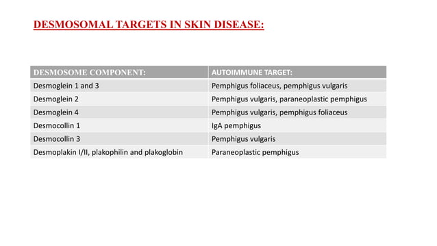 PATHOGENESIS OF IMMUNOBULLOUS DISORDERS AND UPDATES copy.pptx | Skin ...