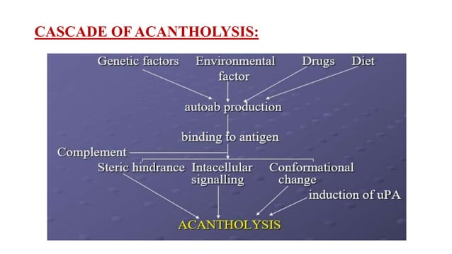 PATHOGENESIS OF IMMUNOBULLOUS DISORDERS AND UPDATES copy.pptx | Skin ...