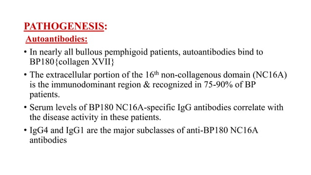 PATHOGENESIS OF IMMUNOBULLOUS DISORDERS AND UPDATES copy.pptx | Skin ...