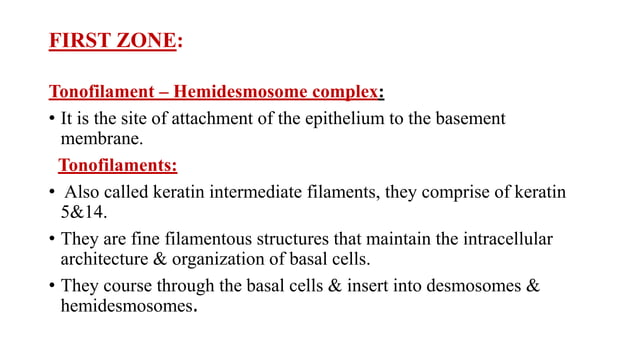 PATHOGENESIS OF IMMUNOBULLOUS DISORDERS AND UPDATES copy.pptx | Skin ...