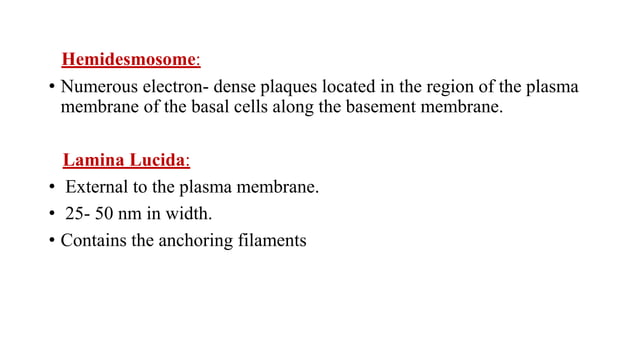 PATHOGENESIS OF IMMUNOBULLOUS DISORDERS AND UPDATES copy.pptx | Skin ...