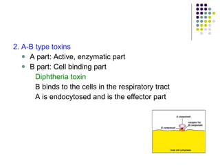 Pathogenesis of infection | PPT
