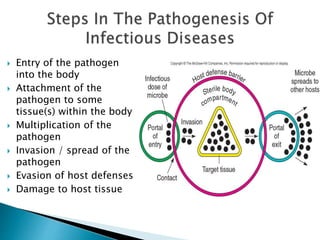 Pathogenesis of infectious_disease | PPTX