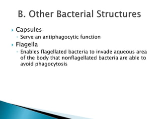 Pathogenesis of infectious_disease | PPTX